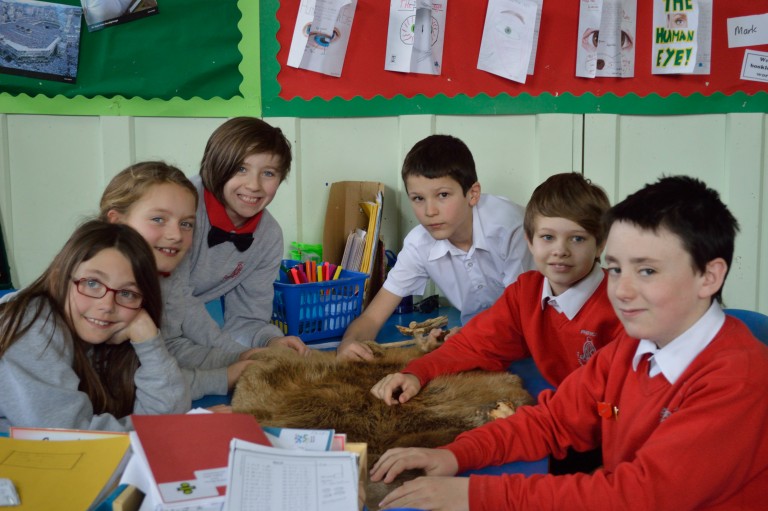 School visits and presentations - Scottish Wild Beaver Group
