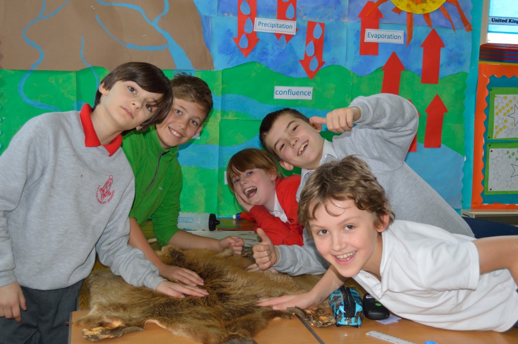 School visits and presentations - Scottish Wild Beaver Group